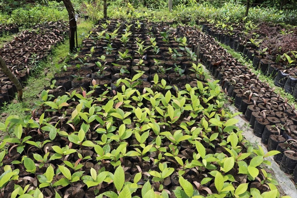 HNB reaffirms commitment to sustainable development with Project LIFE ... HNB reaffirms commitment to sustainable development with Project LIFE ...
