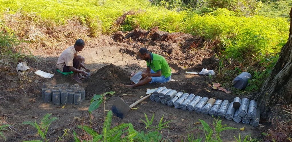 HNB reaffirms commitment to sustainable development with Project LIFE ... HNB reaffirms commitment to sustainable development with Project LIFE ...
